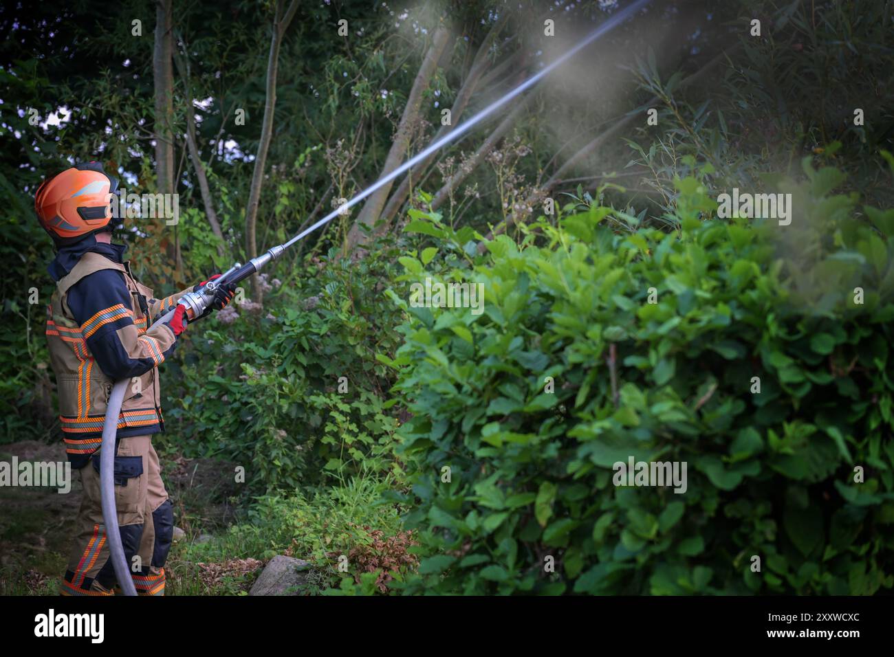 Firefighter spraying water with an extinguishing hose against the smoke ...