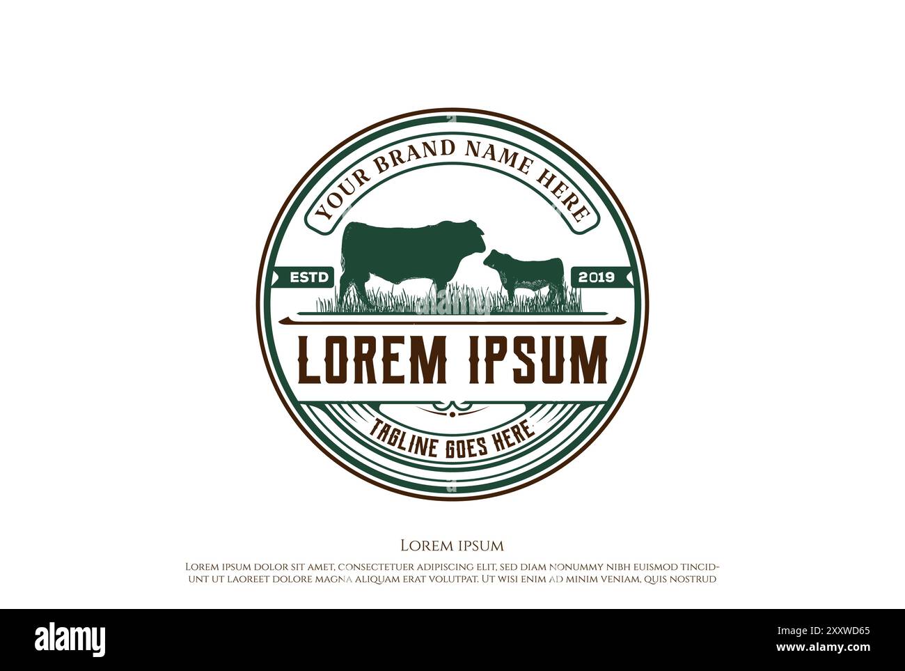 Vintage Retro Angus Cattle Livestock for Beef Logo Design Vector Stock Vector Image & Art - Alamy