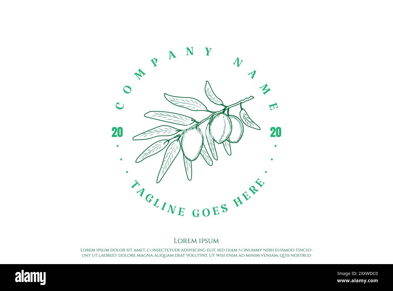 Olive tree logo engraved hand hi-res stock photography and images - Alamy