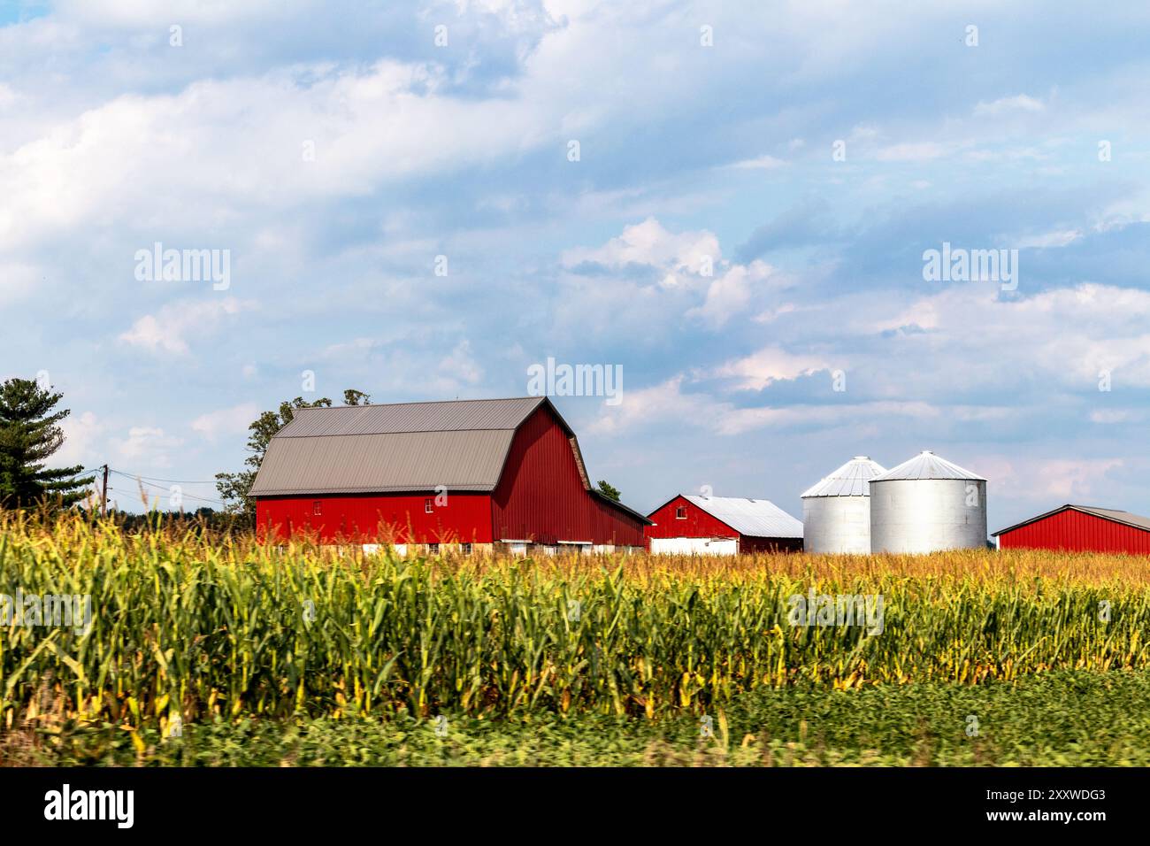 Red barn and silos by corn field in rural midwest Stock Photo - Alamy