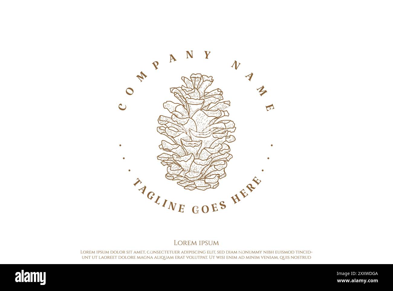 Rustic pine cone wood Stock Vector Images - Alamy