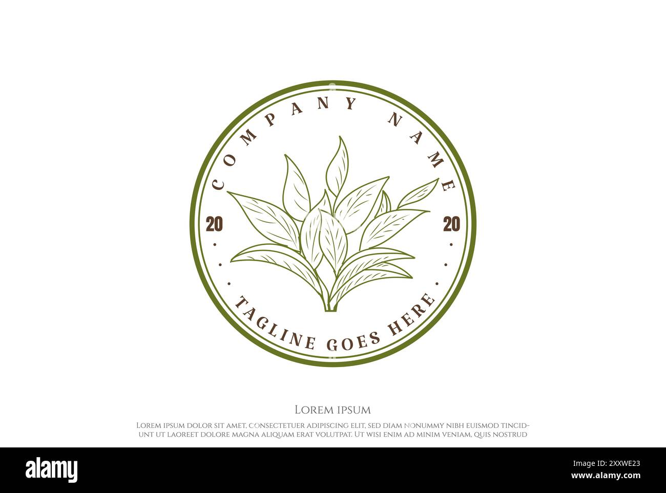Vintage Minimalist Elegant Green Tea Leaf Leaves Logo Design Vector ...