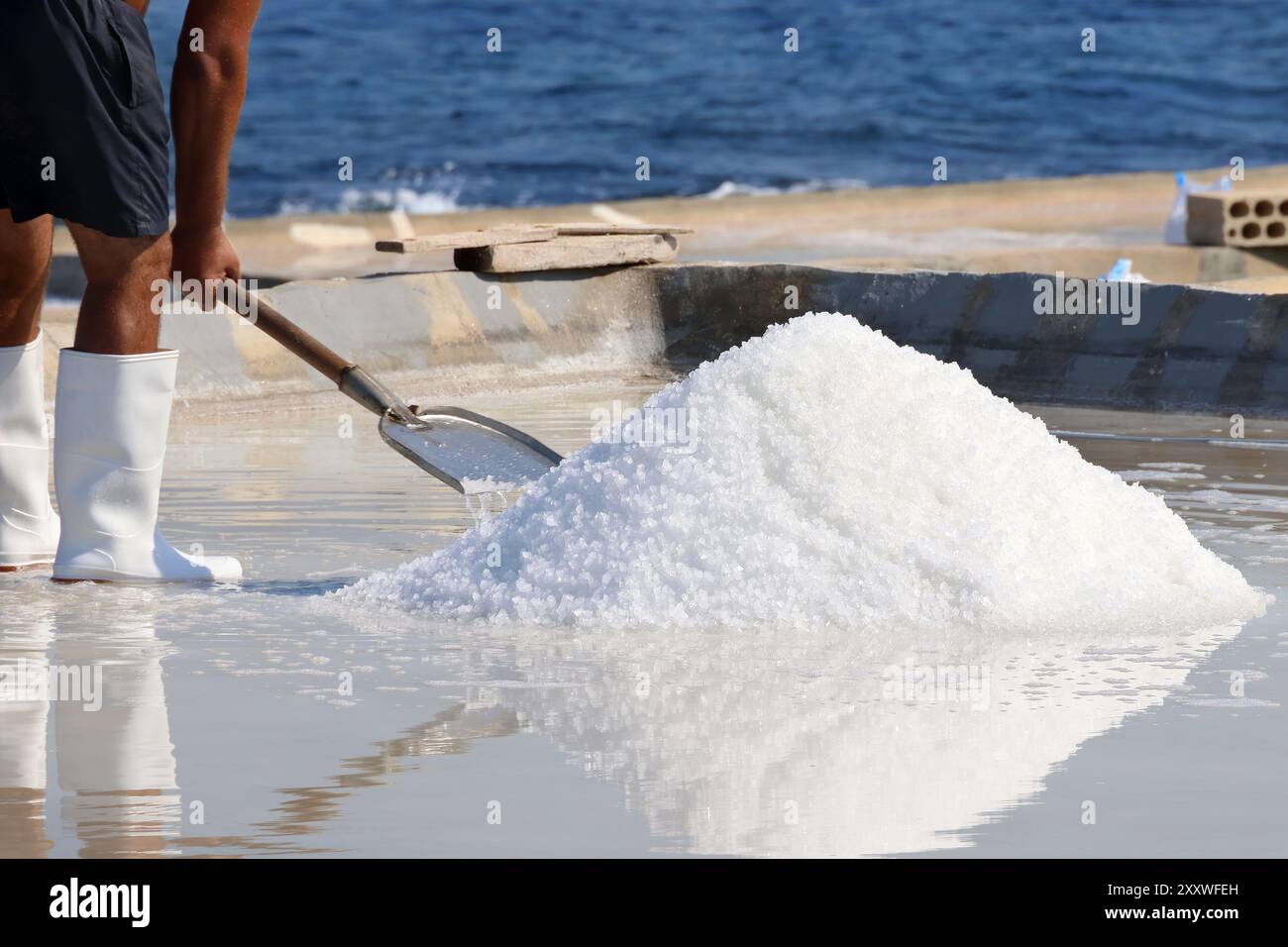 A worker shoveling sea salt into a pile in a basin near a windmill ...