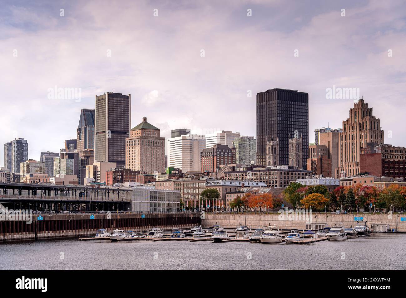 Beautiful of the montreal downtown with the old port Stock Photo - Alamy