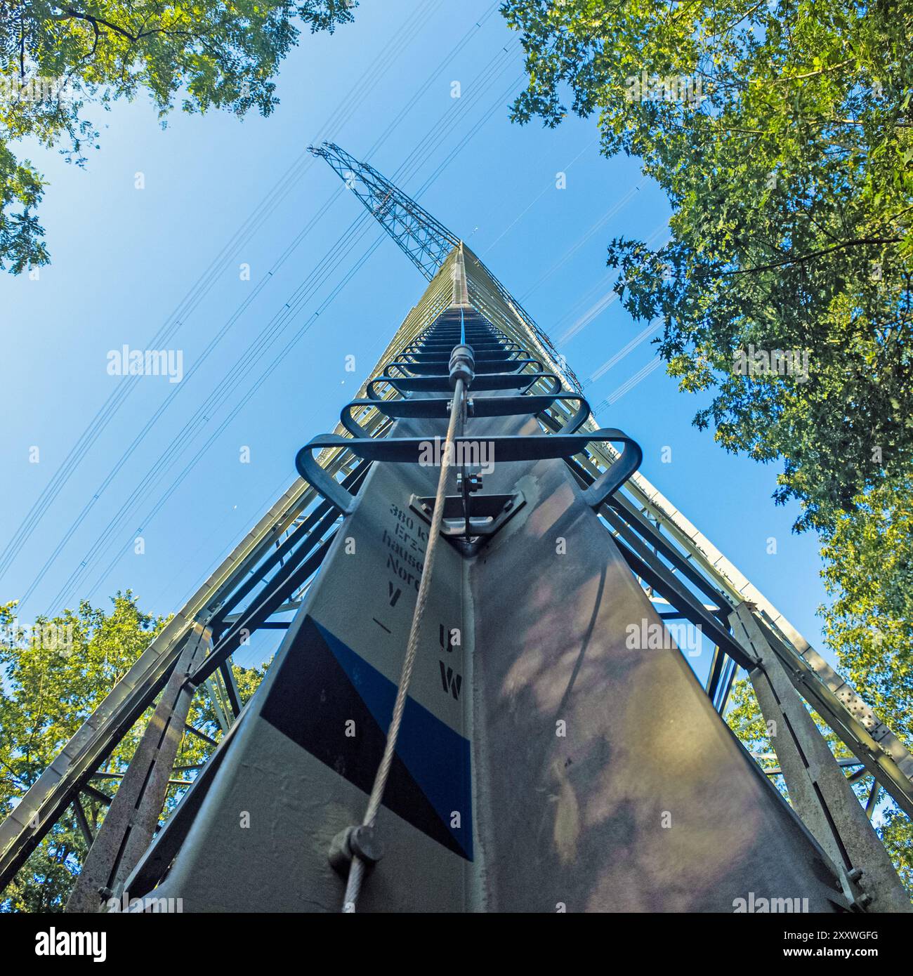Image of a tall electricity pylon in a forest taken from ground level ...