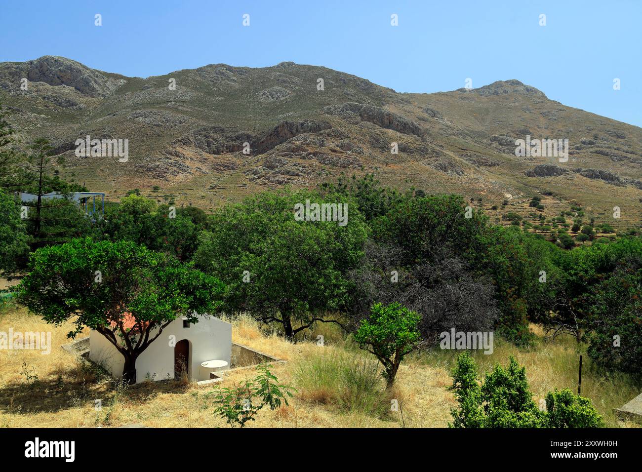 Small family chapel in garden, Megalo Chorio, Tilos, Dodecanese islands ...