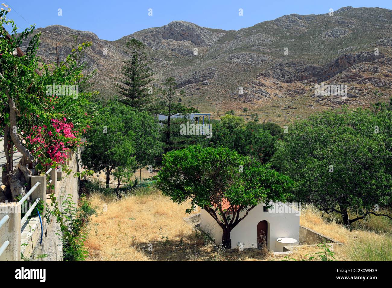 Small family chapel in garden, Megalo Chorio, Tilos, Dodecanese islands ...