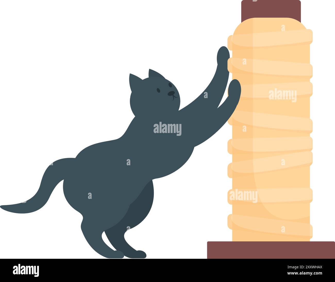 Black kitten sharpening claws Cut Out Stock Images & Pictures - Alamy