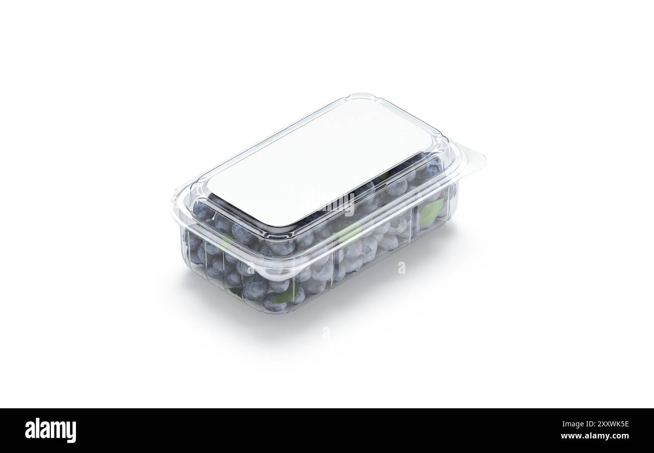Blank transparent plastic box with blueberry mockup, side view, 3d ...
