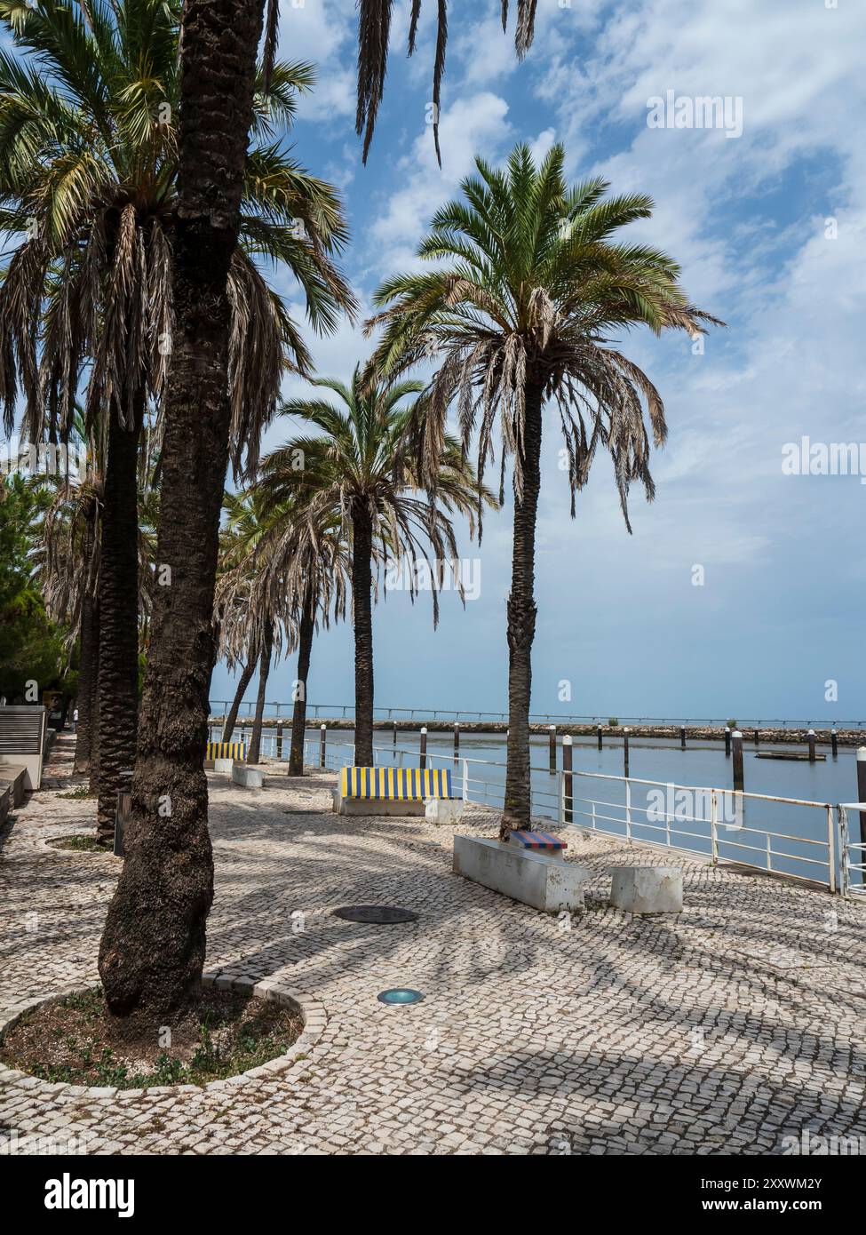 Palm trees line a walkway, Parque das Nacoes, Lisbon, Portugal Stock ...