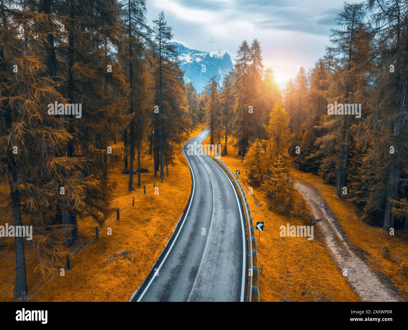 Aerial view of wet road and orange forest in golden autumn Stock Photo ...