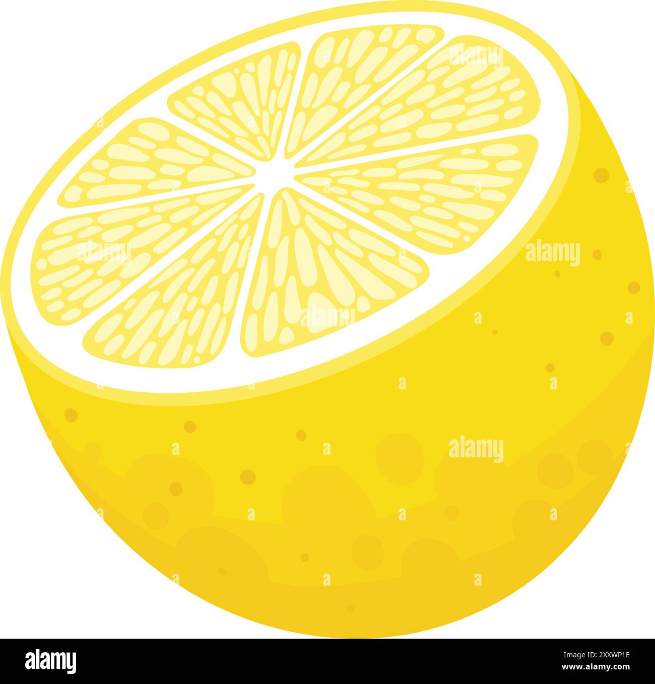 Lemon slice. Fresh citrus, half sliced lemon and chopped lemon. Cut ...