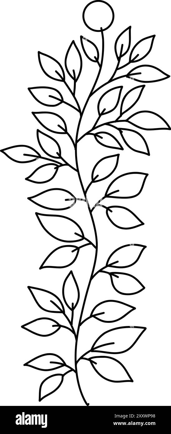 Flower branch doodle. Hand drawn herb line plant with leaves. Summer ...