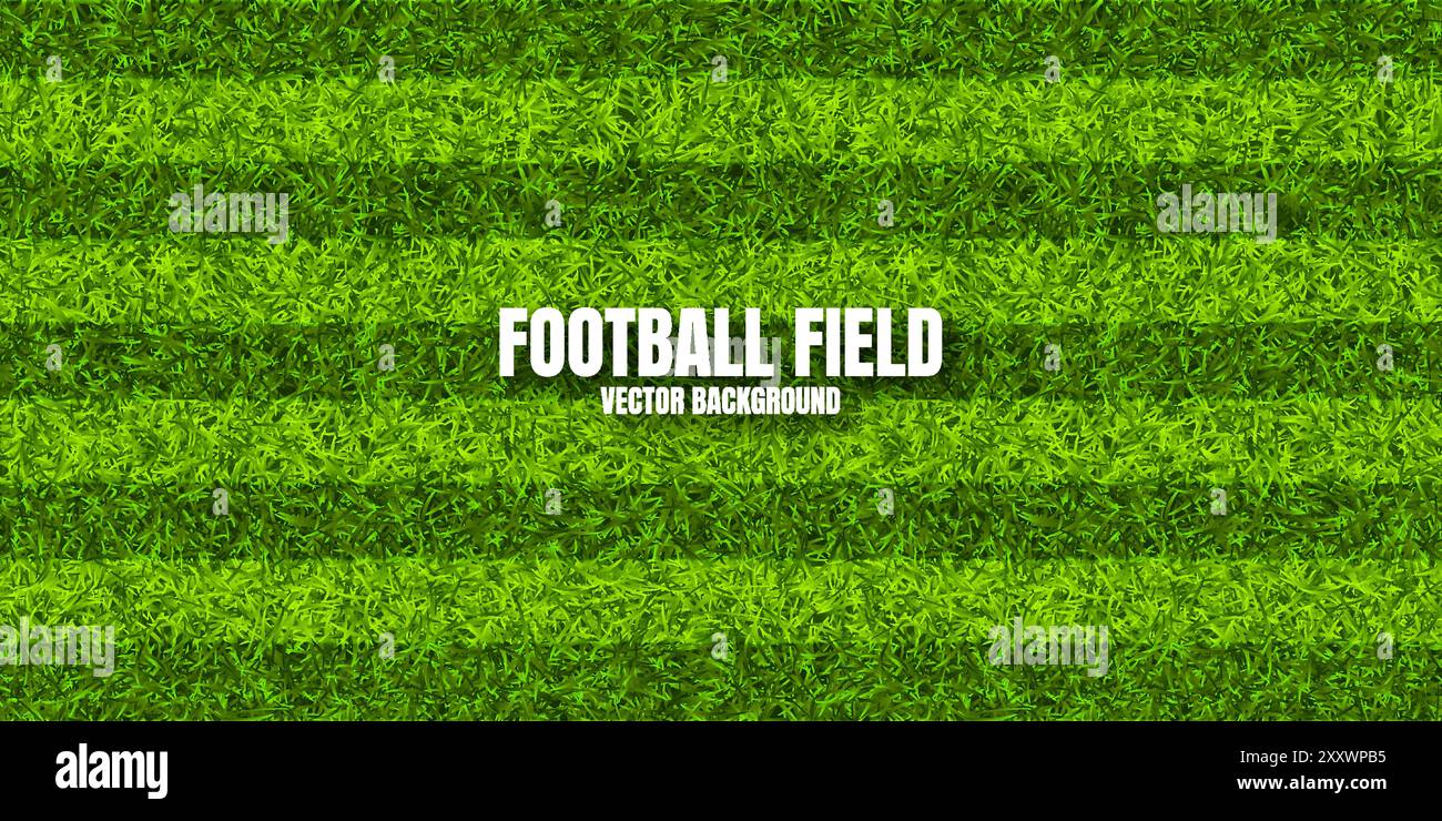 Soccer playing field with green grass. Football pitch background with ...