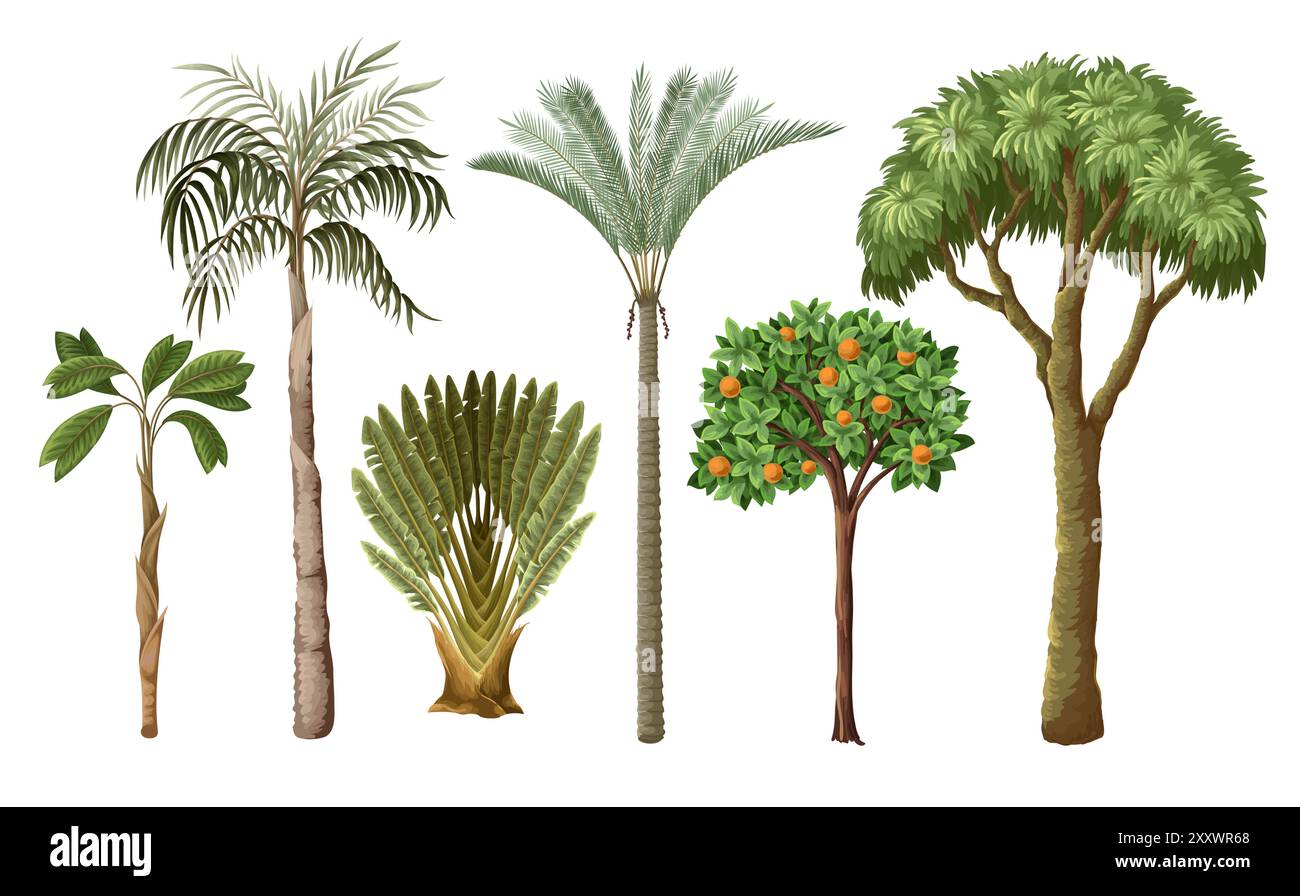 Large leaves tropical forest Stock Vector Images - Alamy