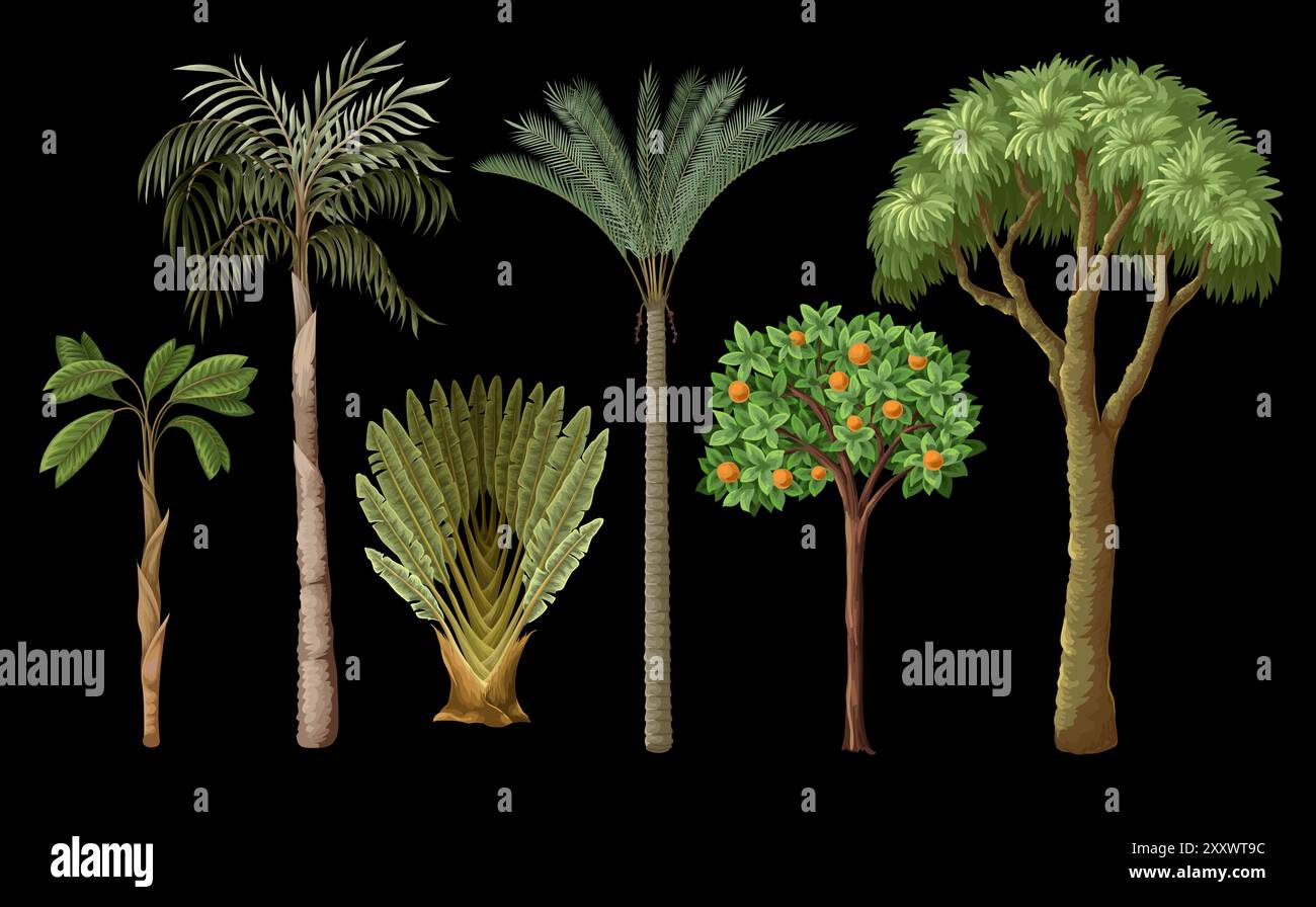 Tropical trees isolated. Vector Stock Vector Image & Art - Alamy