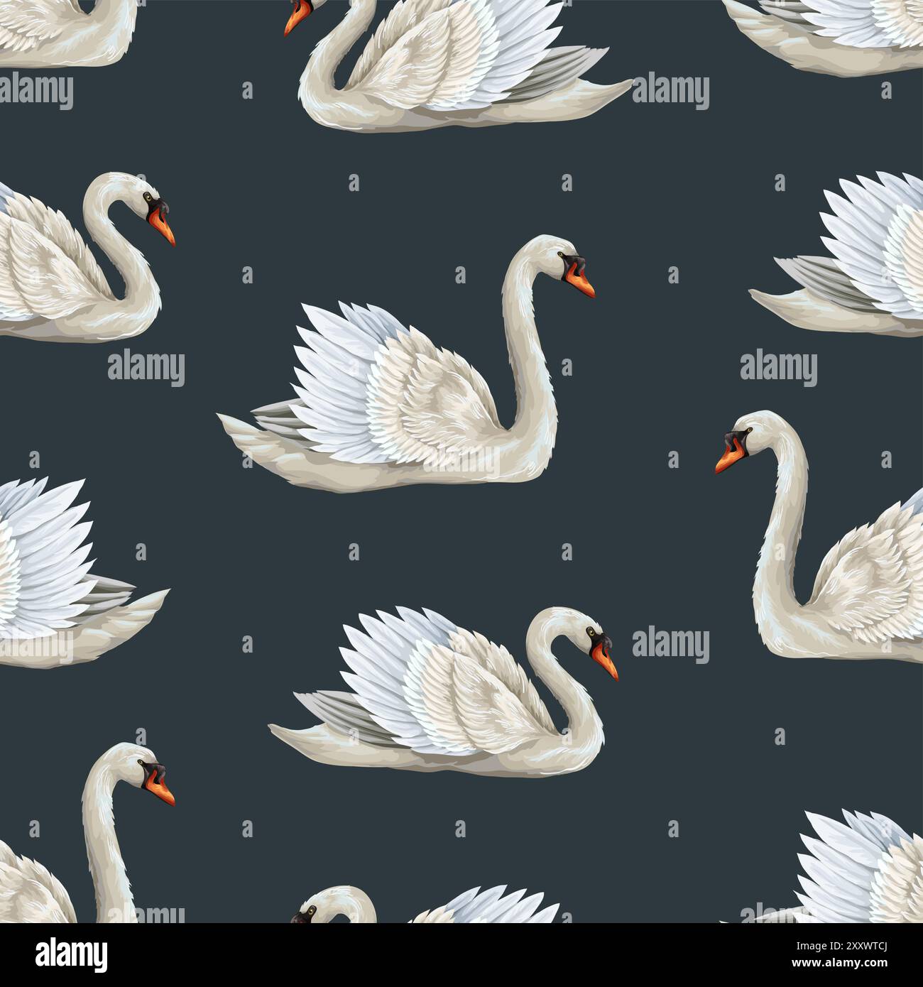 Seamless pattern with white swan. Vector Stock Vector Image & Art - Alamy