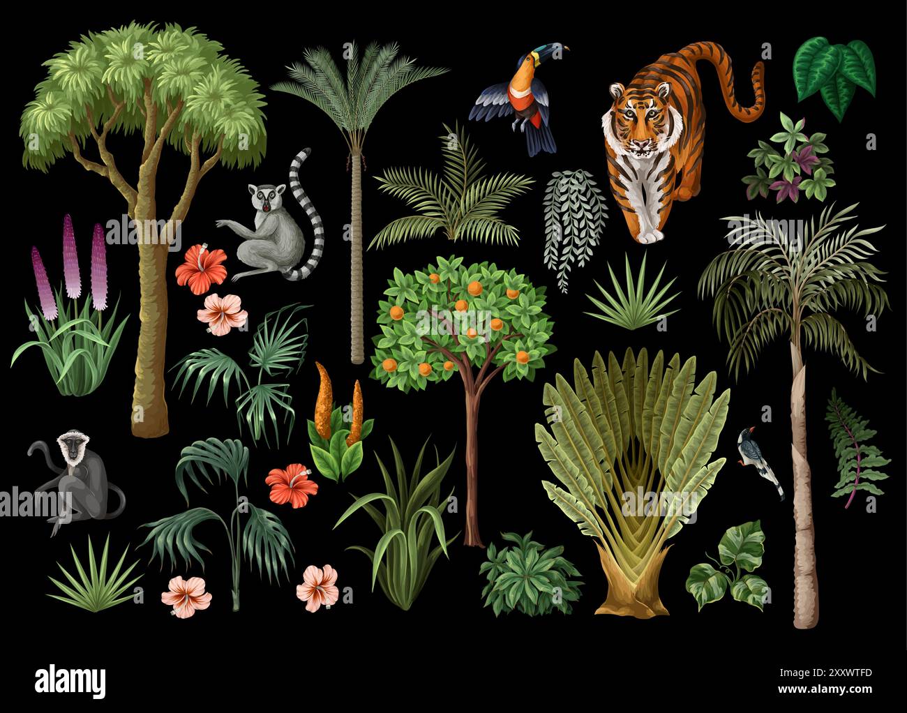 Tropical trees, animals, flowers and birds isolated. Vector Stock ...