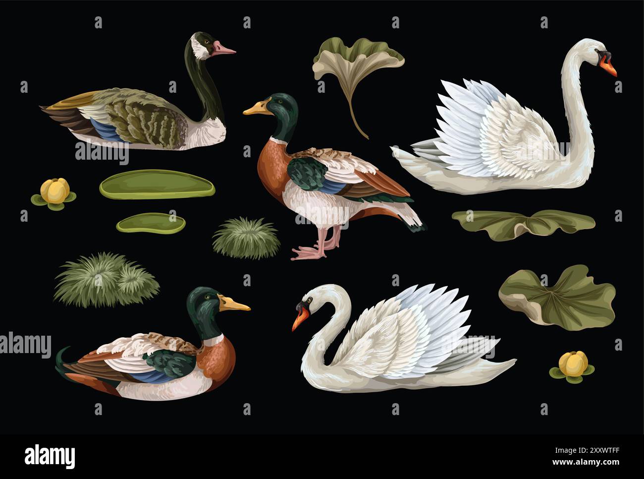 Swan float pool Stock Vector Images - Alamy