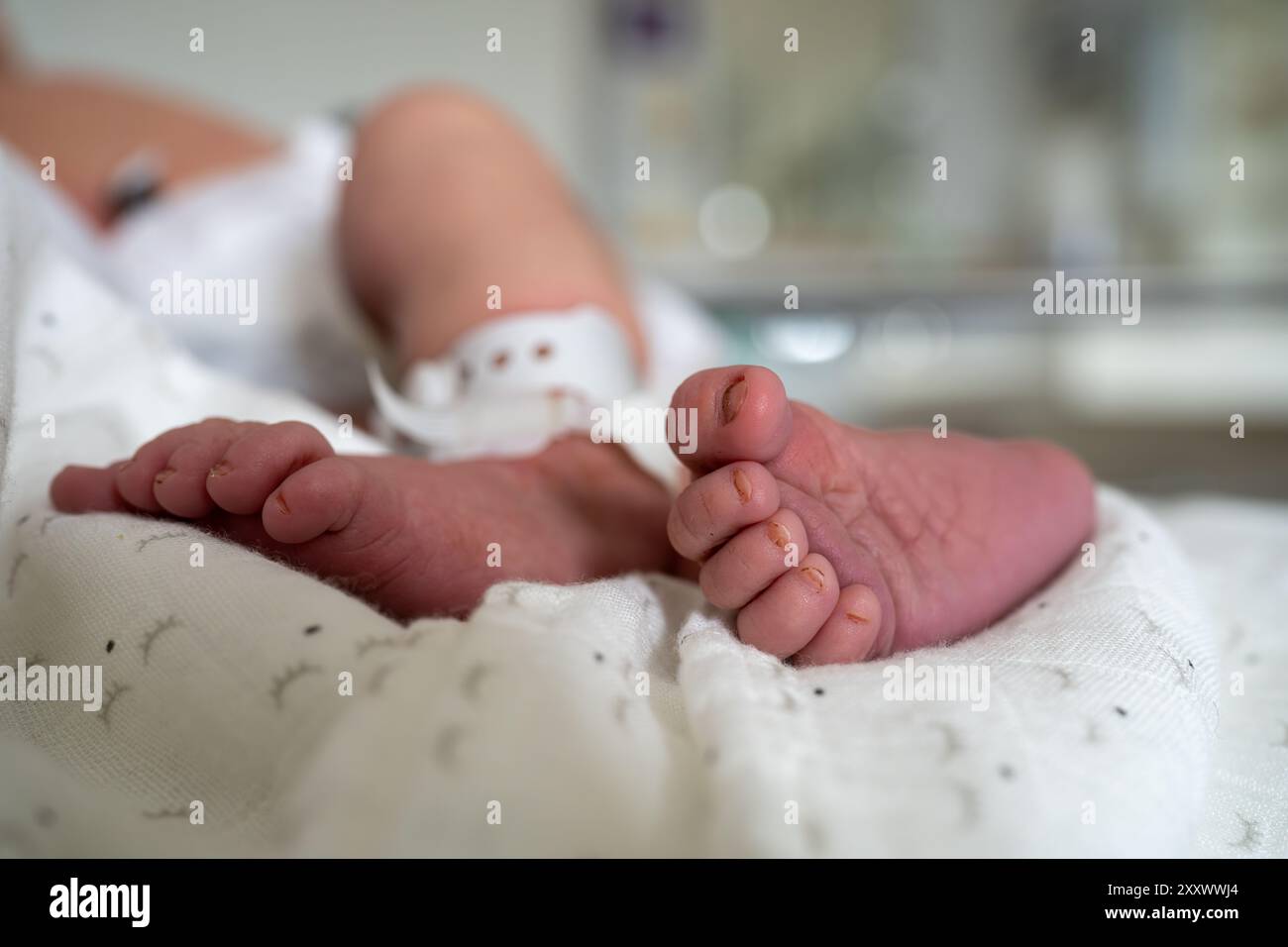 Close-Up of Newborn Babys Feet with Identification Bracelet Stock Photo ...