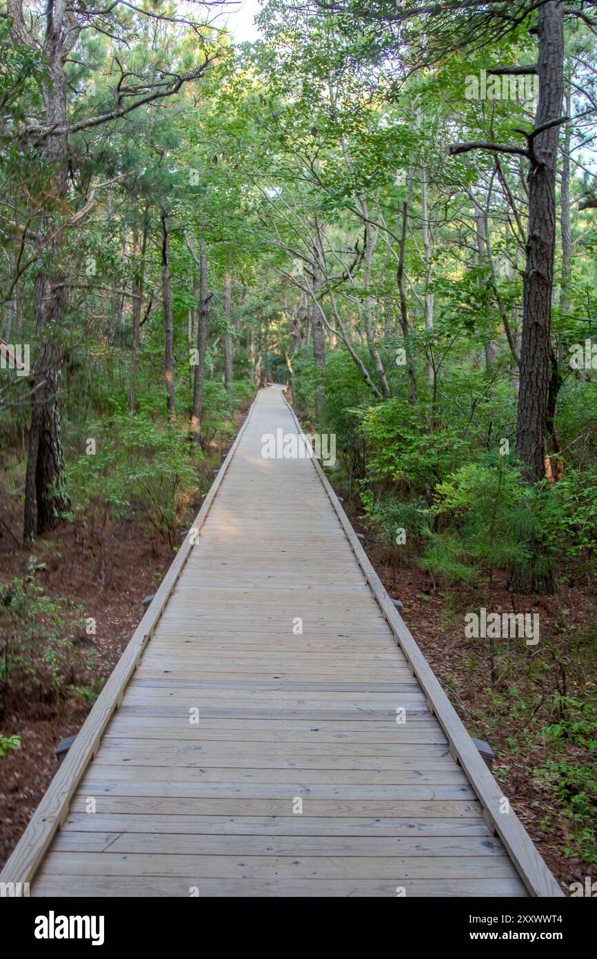 A boardwalk passes through the Currituck Banks Reserve in the Outer ...