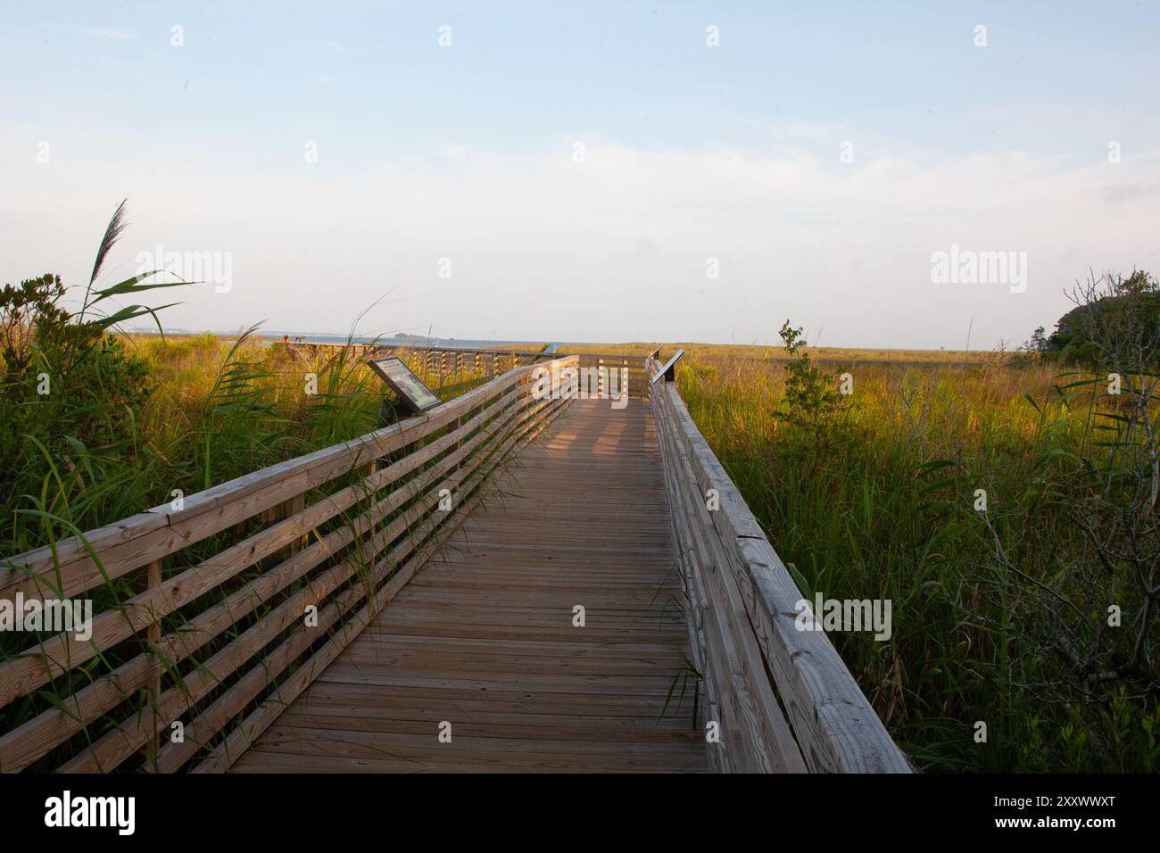 A boardwalk passes through the Currituck Banks Reserve in the Outer ...