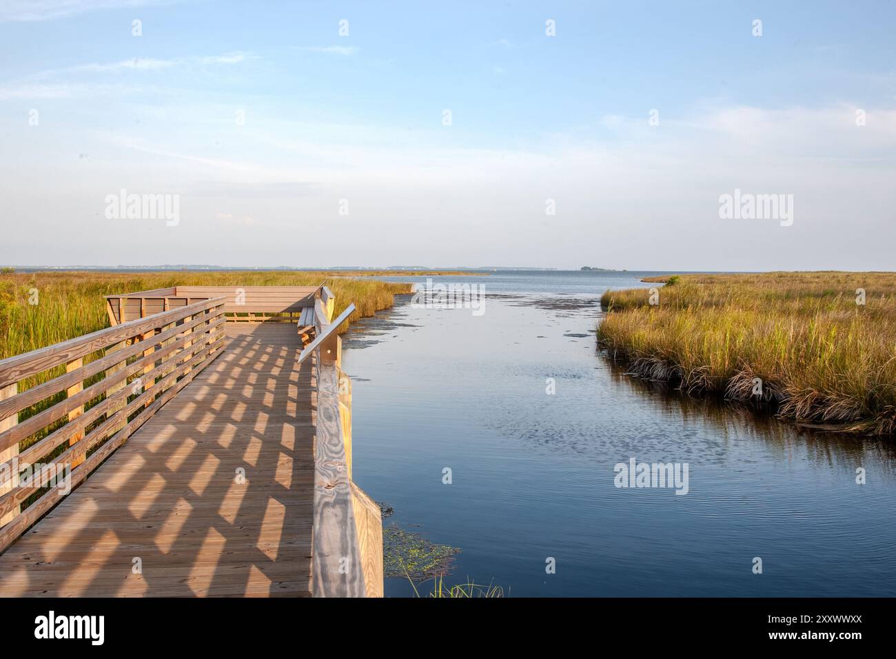 A boardwalk passes through the Currituck Banks Reserve in the Outer ...