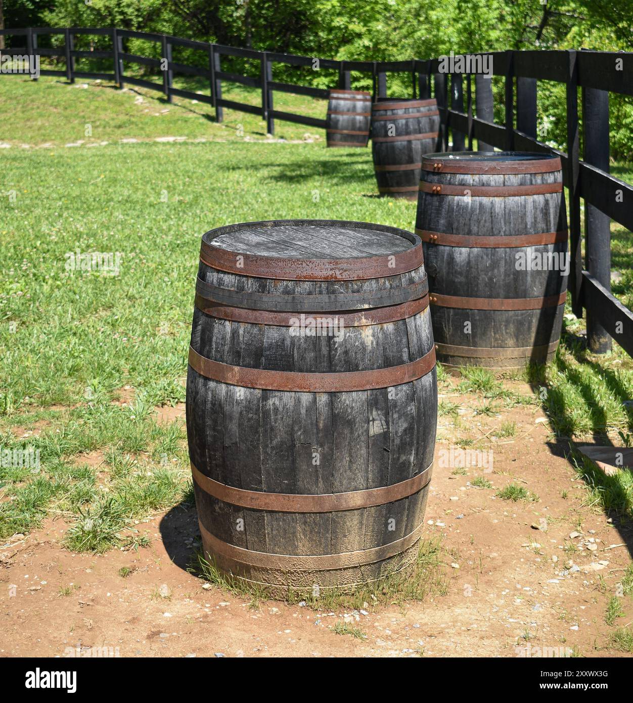 Used Bourbon aging barrels along a fence line. Barrels exhibit the ...