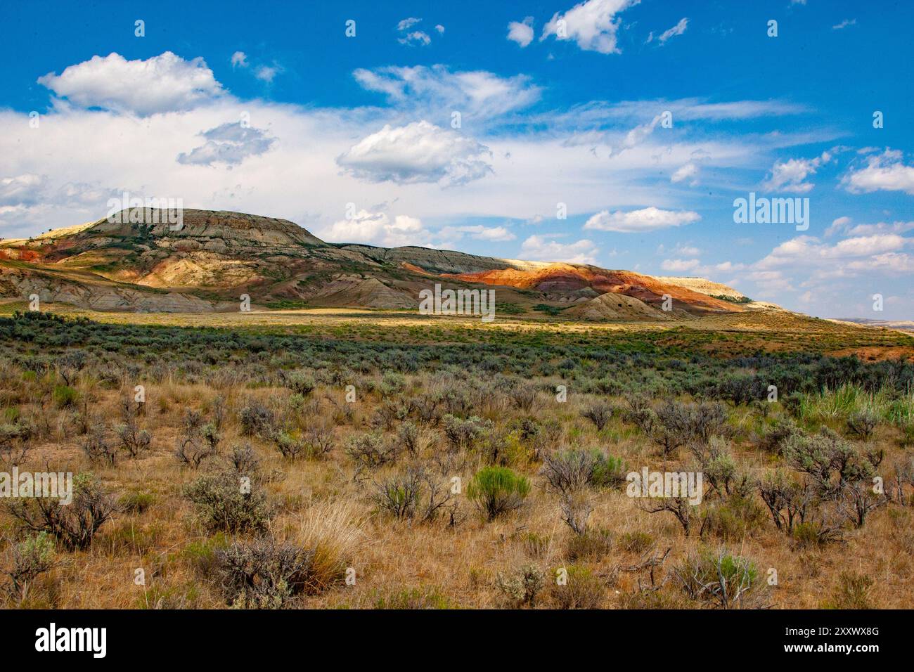Fossil Butte National Monument in Wyoming, the vibrant blue sky and ...