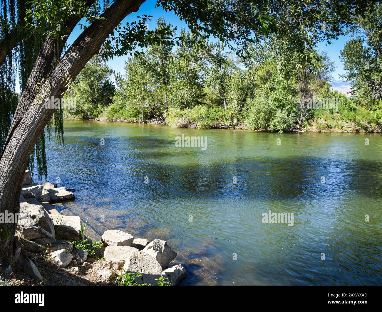 The Boise River meanders along a rocky shoreline with a treelined ...