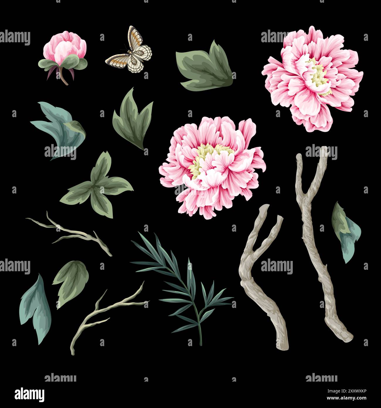 Chinese peonies and butterfly isolated. Vector Stock Vector Image & Art ...