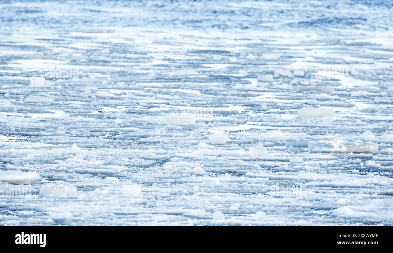 Fragments of melting ice with wet snow float on sea water, natural ...
