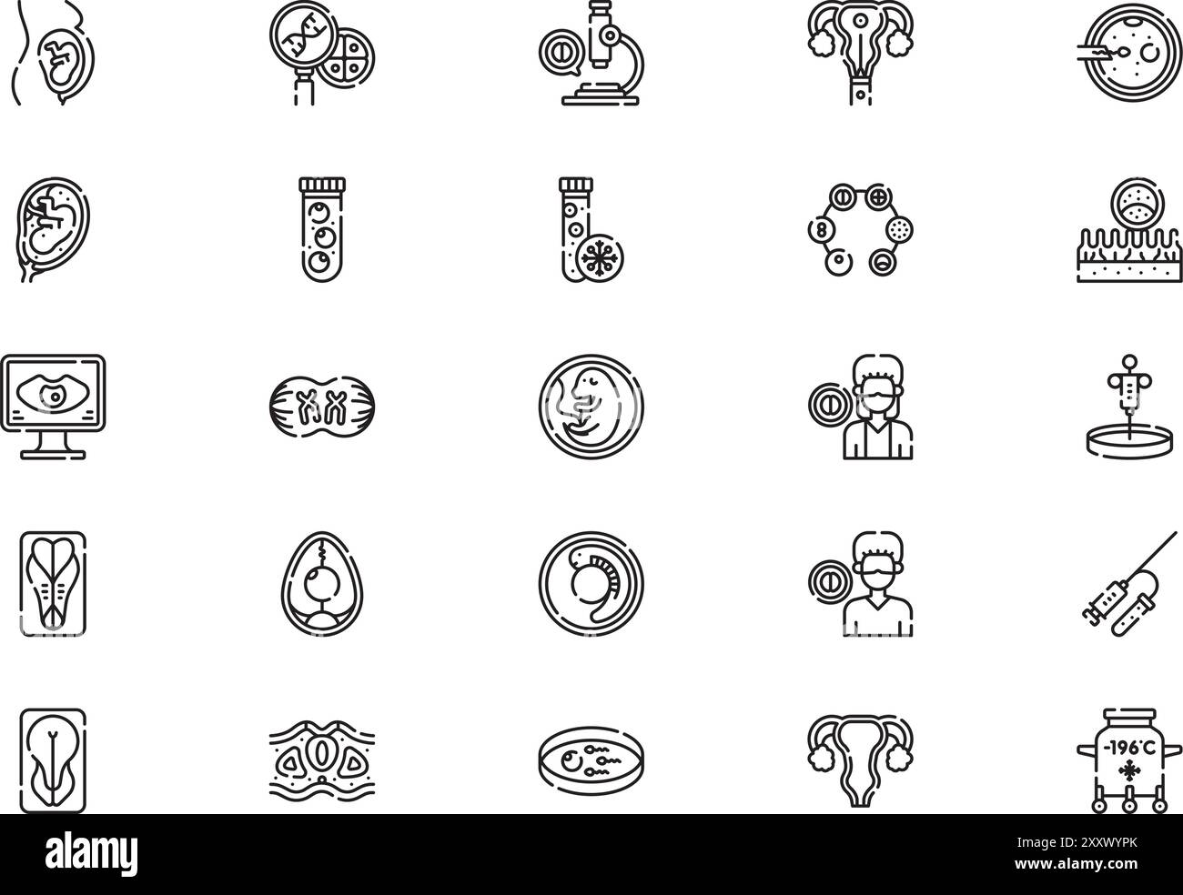 Embryology icons collection is a vector illustration with editable ...