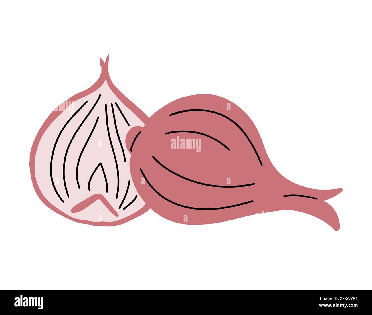 Onions gardening Stock Vector Images - Alamy