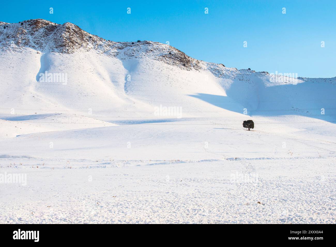Iran winter 2023 hi-res stock photography and images - Alamy