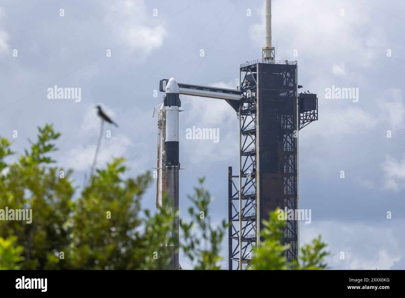 Kennedy Space Center, USA. 26th Aug, 2024. On historic launch pad LC ...