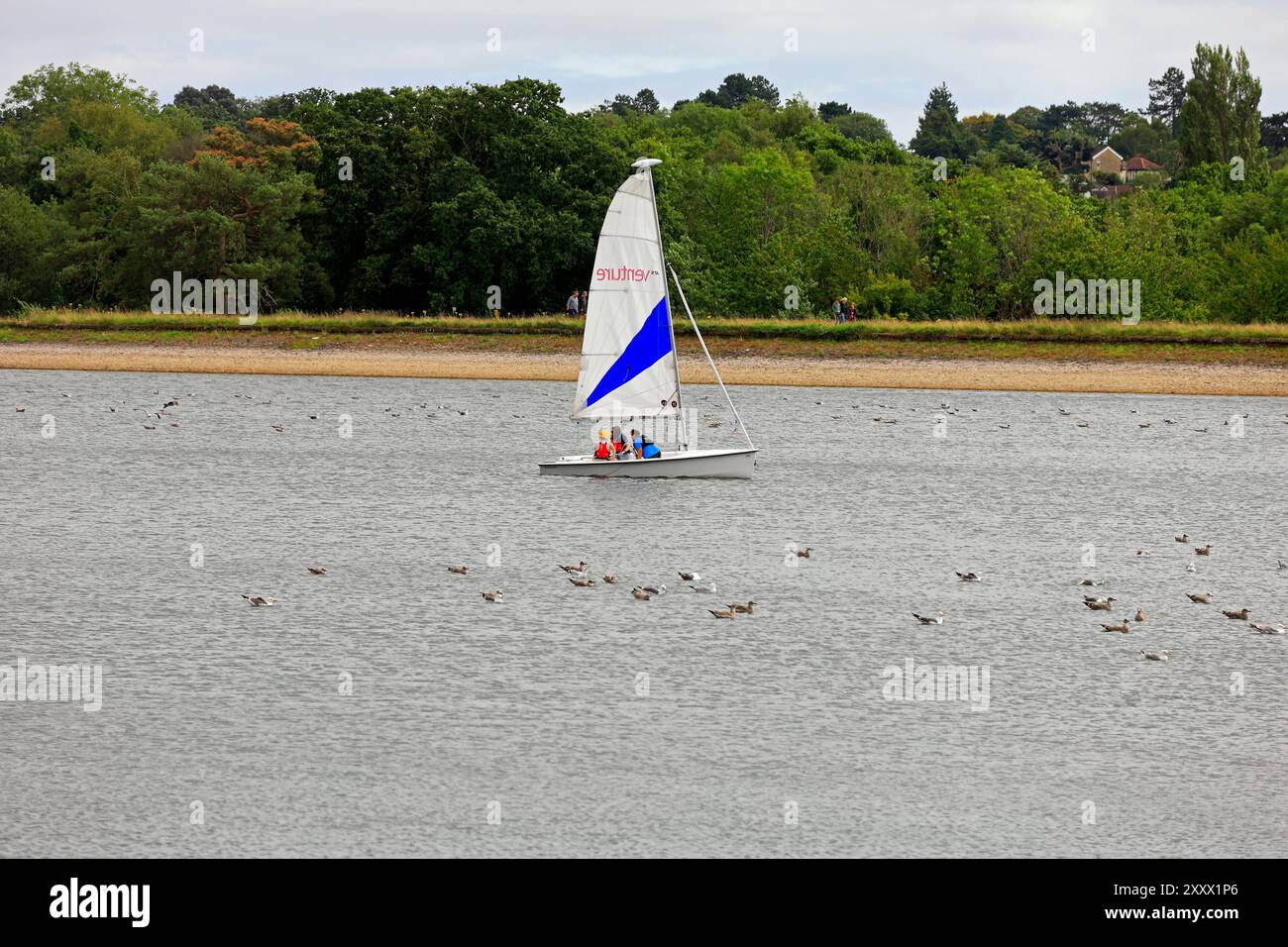 Llanishen Reservoir with sailing boat. Taken August 2024. Summer Stock ...
