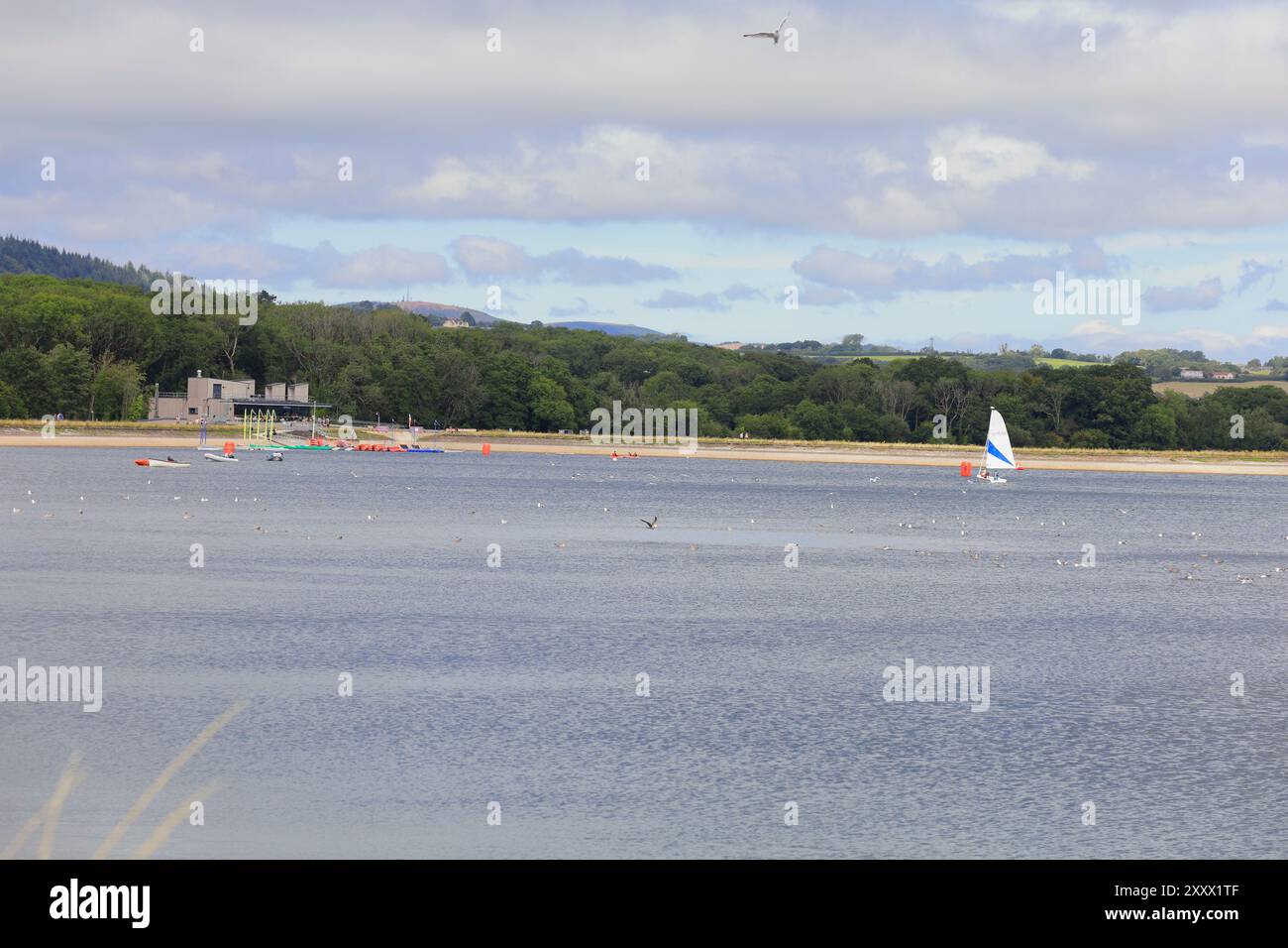 Llanishen Reservoir with sailing boat. Taken August 2024. Summer Stock ...