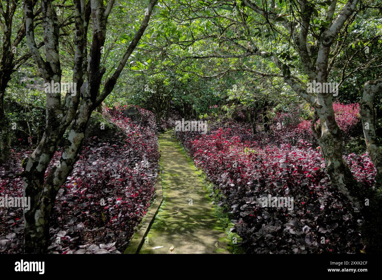 Prince Souphanouvong garden at the Vieng Xai Caves, Viengxay, Houaphanh ...