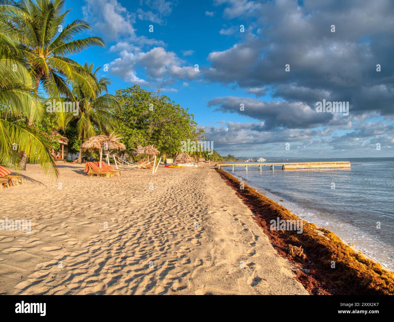 Beach View Along Shoreline, Hopkins, Belize Stock Photo - Alamy