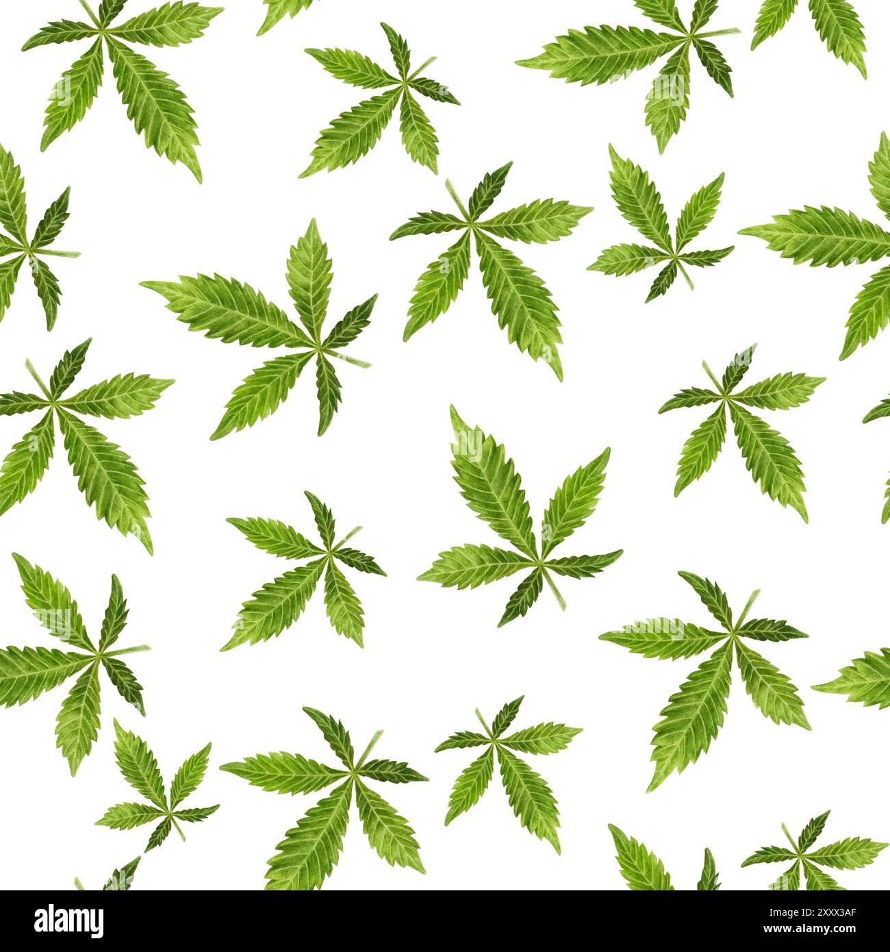 Leaf patterns illustrate hi-res stock photography and images - Alamy