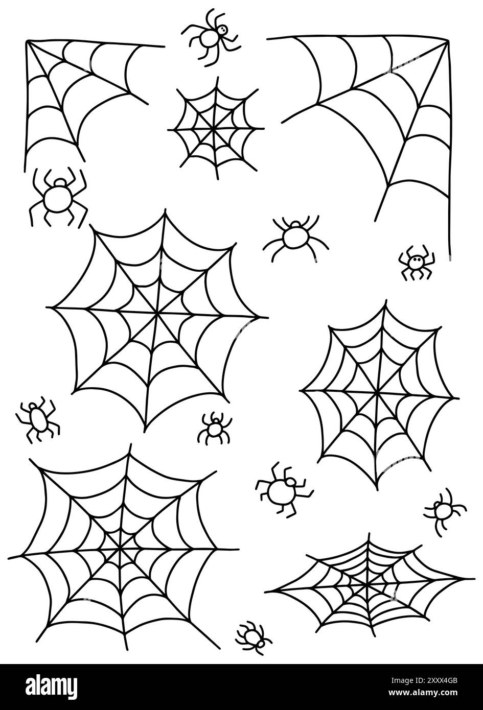 Spider Web Template Printable Free Vectors | Spider Web Set