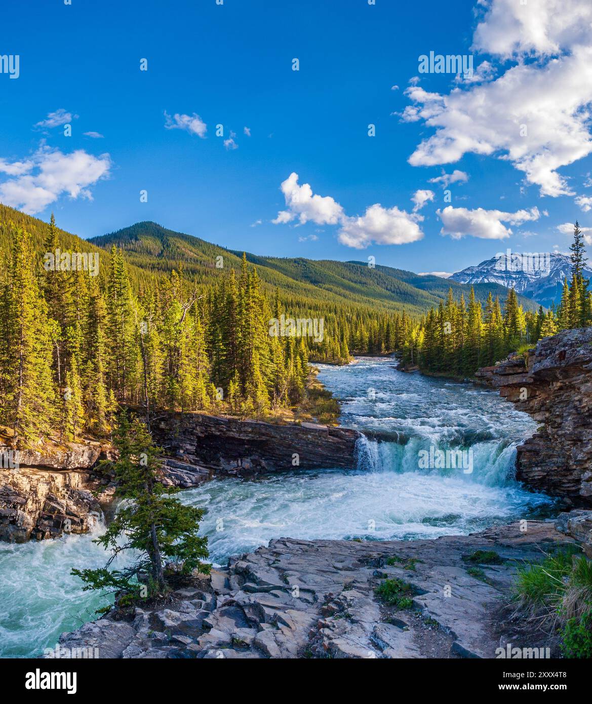 A waterfall on the Sheep River in Kananaskis Country, Alberta Stock ...