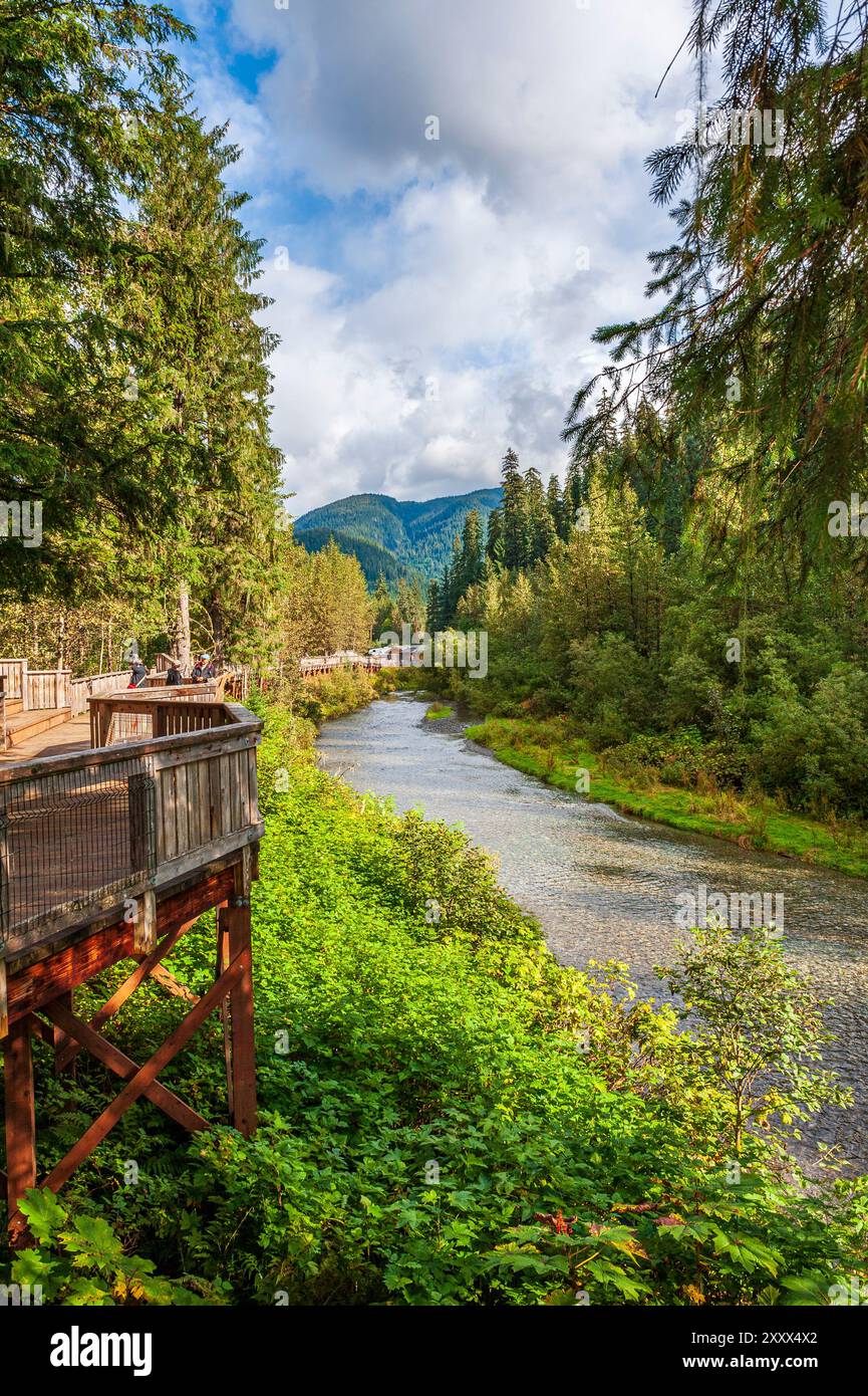 The elevated bear viewing platform and walkway above Fish Creek in the ...