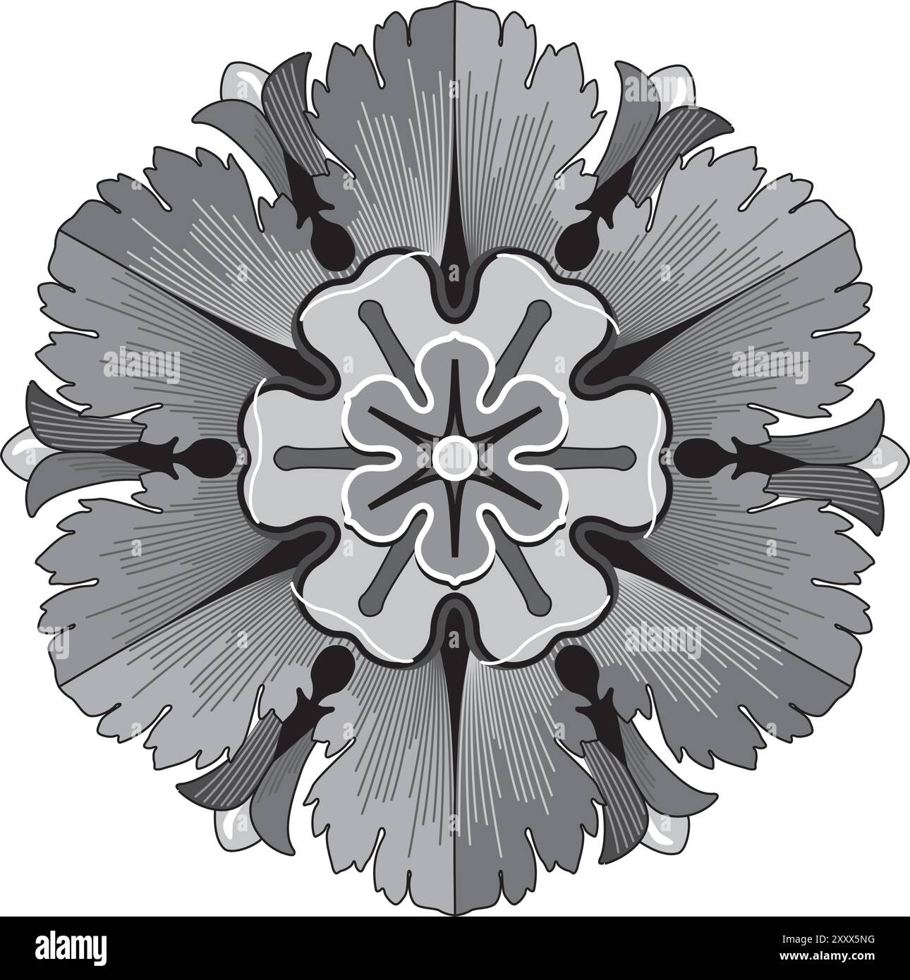 Ornamental round pattern isolated on white background vector ...