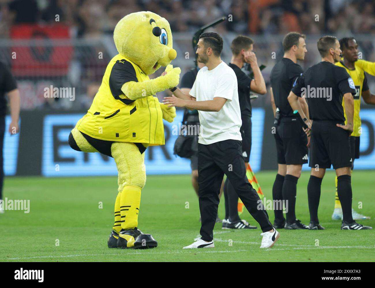 Dortmund, Deutschland. 24th Aug, 2024. firo: 24.08.2024, football ...