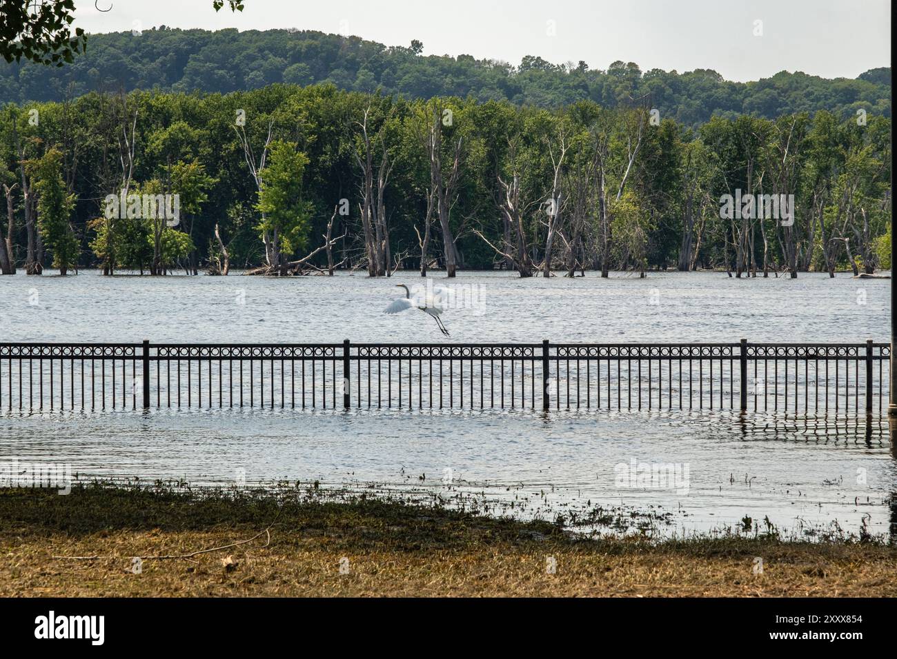 Flooded park hi-res stock photography and images - Alamy