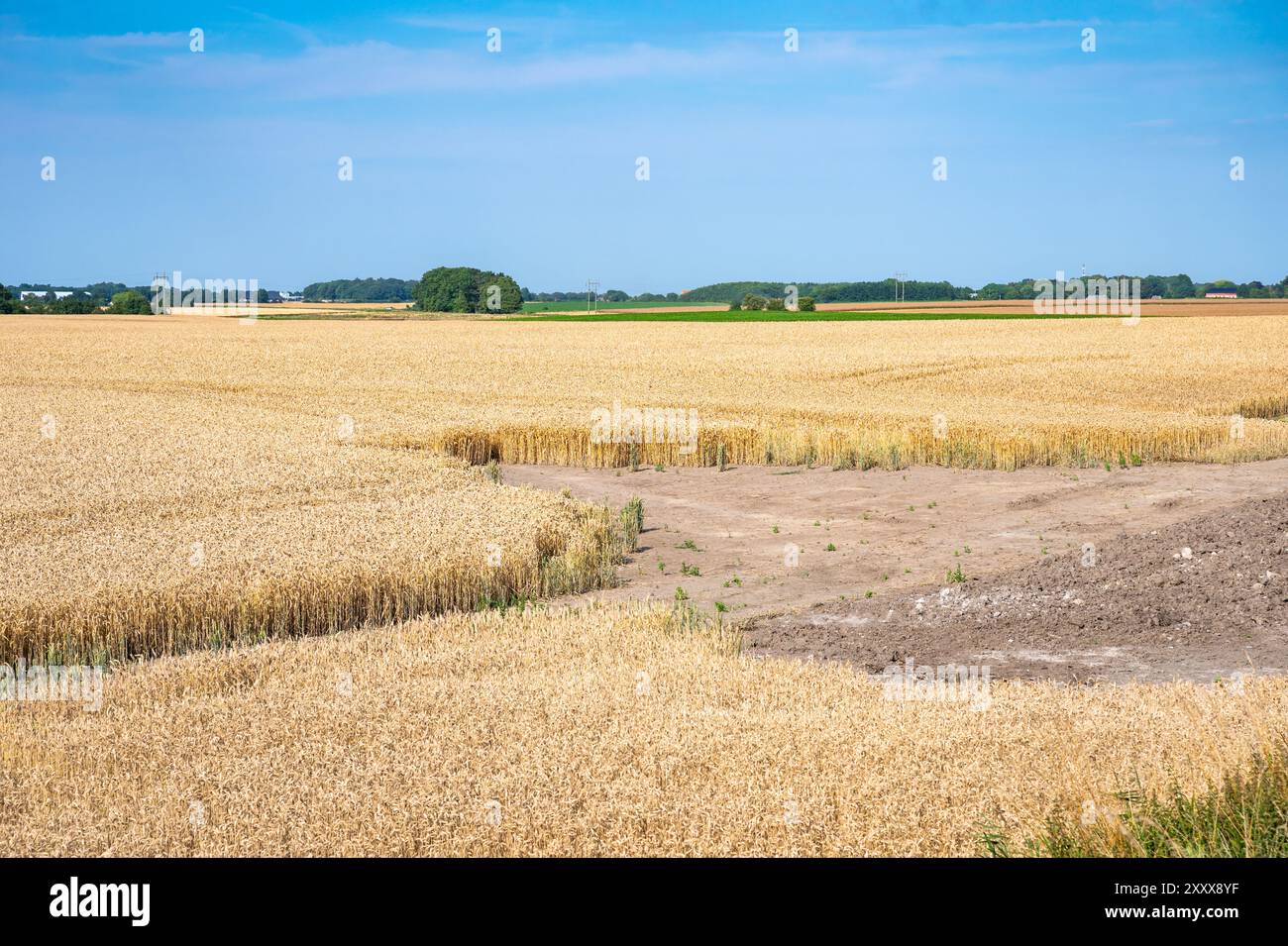Lolland food hi-res stock photography and images - Alamy