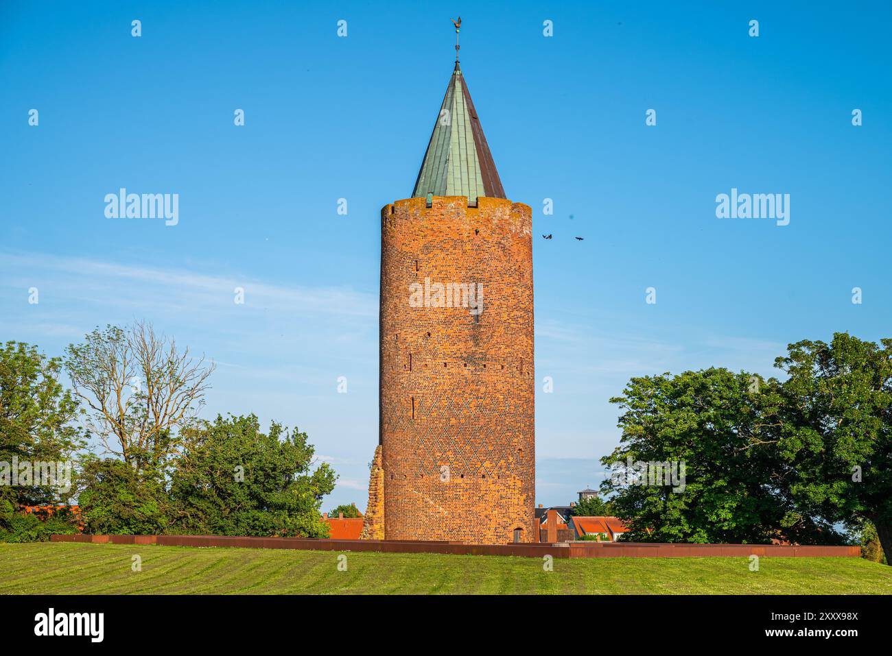 The Goose tower, a historical landmark in town of Vordingborg in ...
