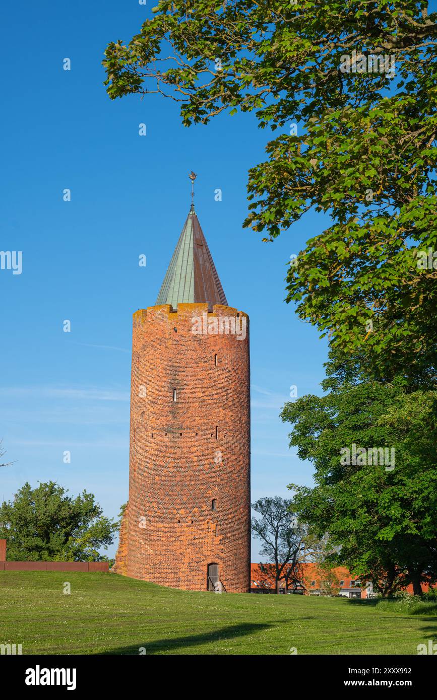 The Goose tower, a historical landmark in town of Vordingborg in ...